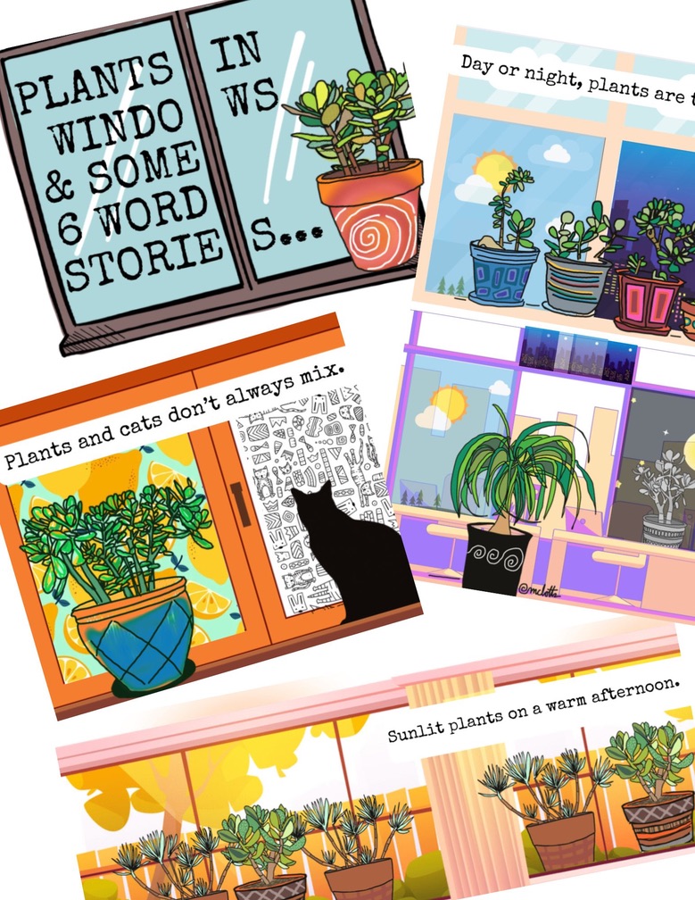Plants in Windows & Some 6-Word Stories – Megan Lotts